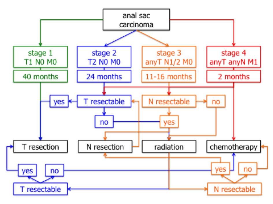 The Cutting Edge Chapter 1 – Clinical problem solving in surgery ...