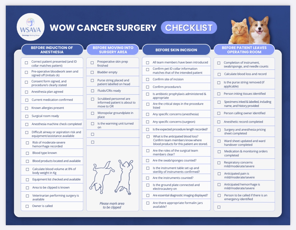 Global Veterinary Surgery – Join us in the wonderful world of ...